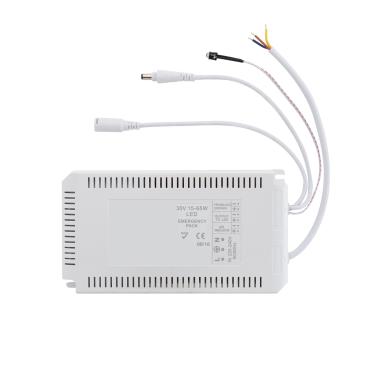 Driver with Emergency Battery for 30V DC 15-65W LED Panels - Ledkia